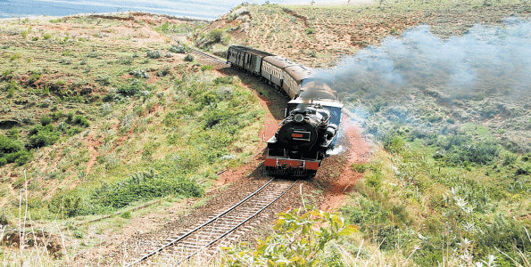 Lunatic express gets its mojo - Business Daily