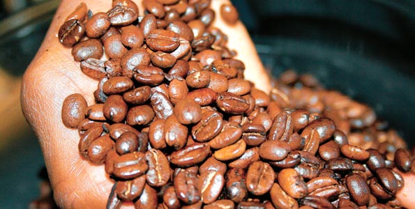 Coffee prices rise at NCE lifting farmers' earnings - Business Daily
