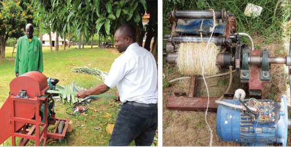 Farmer harnesses tidy profit from sisal machines - Business Daily