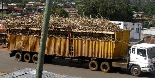 Low milling capacity, poor yields deepen sugar industry woes - Business ...