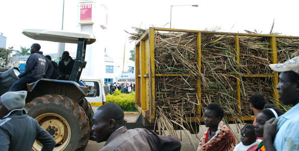 Kenya handed another Comesa extension on sugar imports - Business Daily