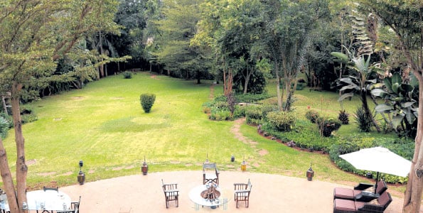 How to choose the best grass for your compound - Business Daily