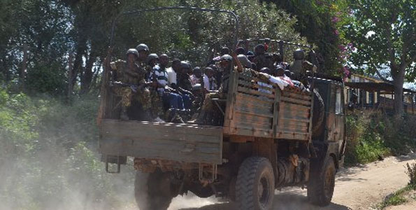 NIS, Army told to pay for security equipment installation in forests ...