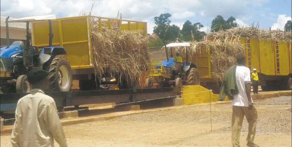Kibos set to pioneer industrial sugar milling in Comesa bloc - Business ...