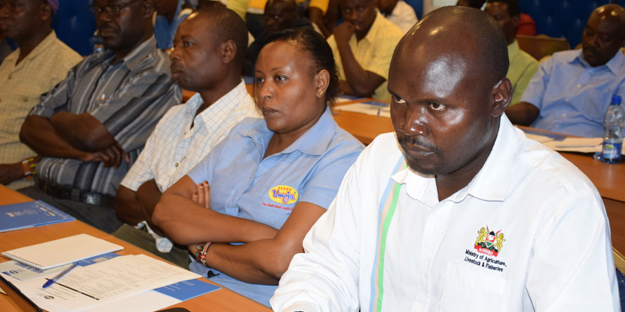 Kenya losing billions over poor quality leather, Kebs says - Business Daily