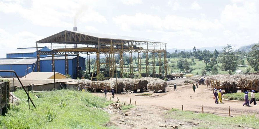 West Kenya gets order to block licensing of Busia Sugar - Business Daily