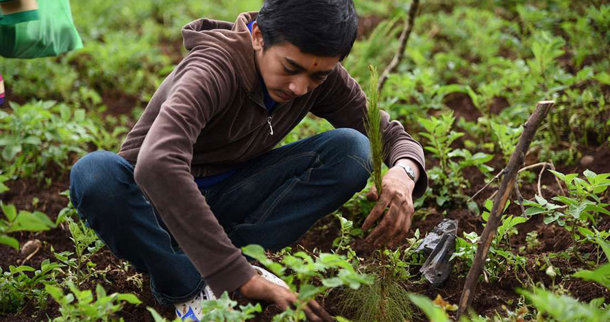 Uasin Gishu community plants 23,000 trees in Timboroa forest - Business ...