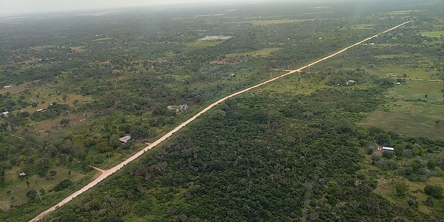 Conservation group wants KWS, forestry bases in Boni Forest - Business ...