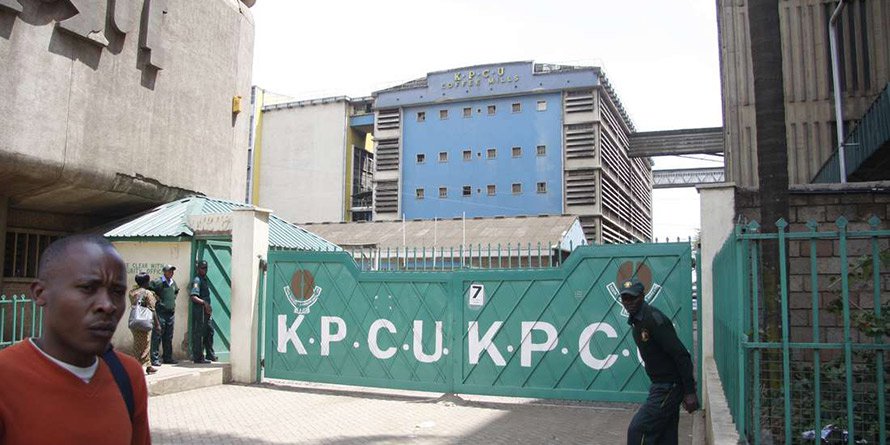 KPCU disburses cherry fund against court order - Business Daily