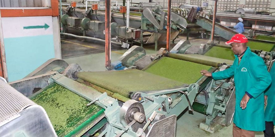 Tea body’s fate sealed as new regulations sent to AG office - Business ...