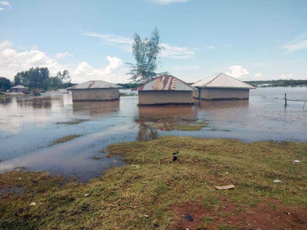 Gone with floods: Rising Lake Victoria upends livelihoods - Business Daily