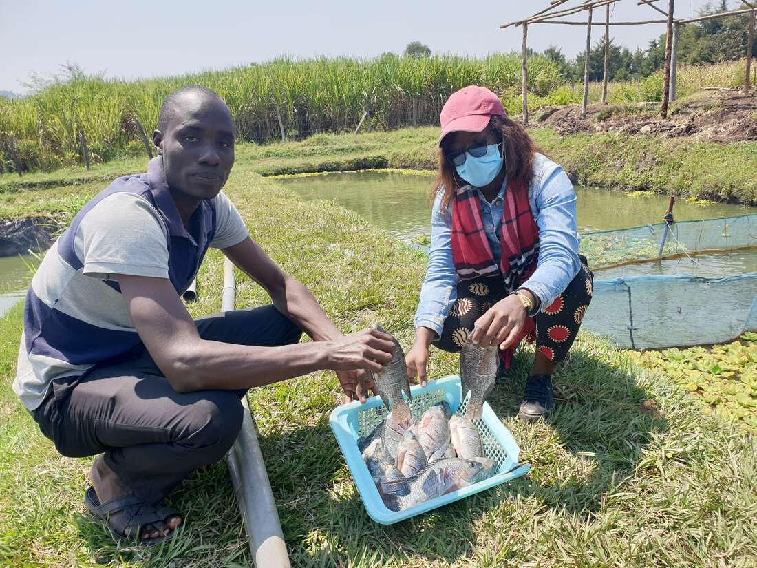 New academy set to boost fish farming - Business Daily