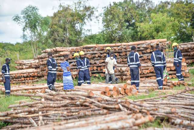 Climate-smart farm investments will pay dividends for Kenya and Planet ...