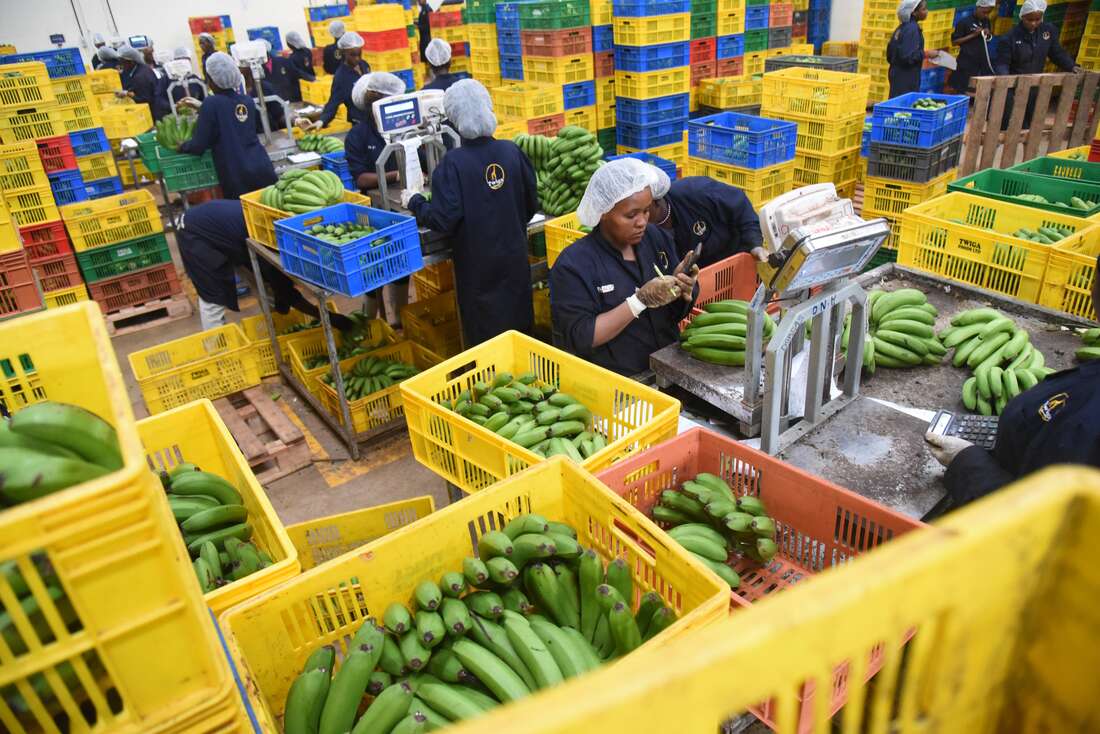 Twiga Foods expands operations in Nyanza, Rift Valley - Business Daily