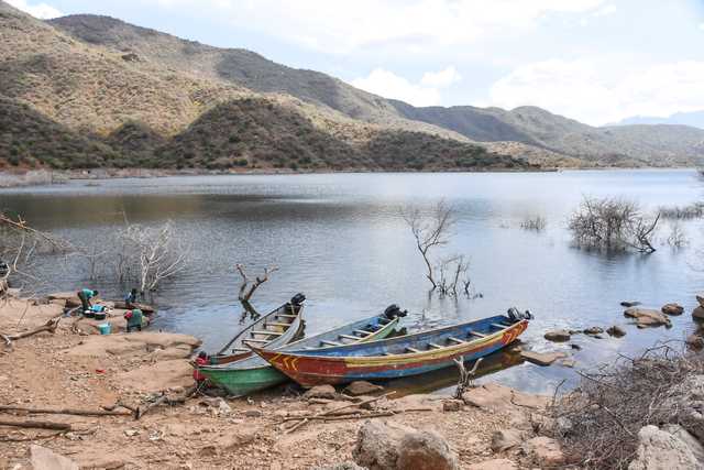 Turkwel Dam sparks fish farming in Pokot - Business Daily