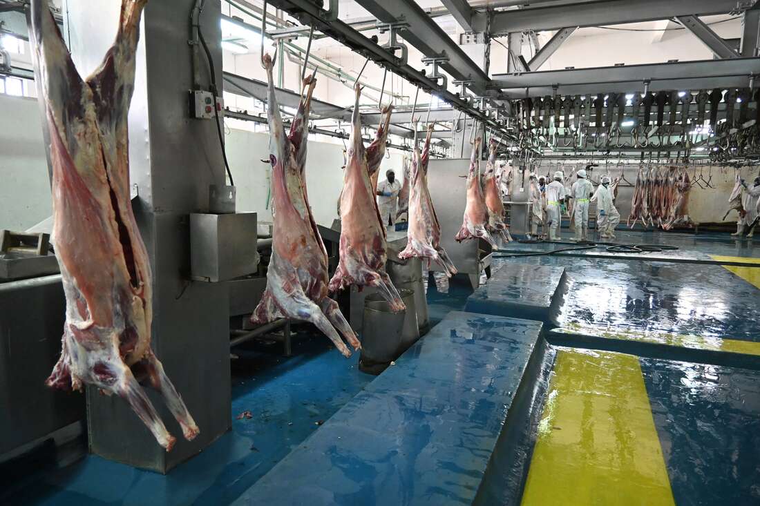 The GCC is new frontier for export of Kenya’s meat and meat products ...