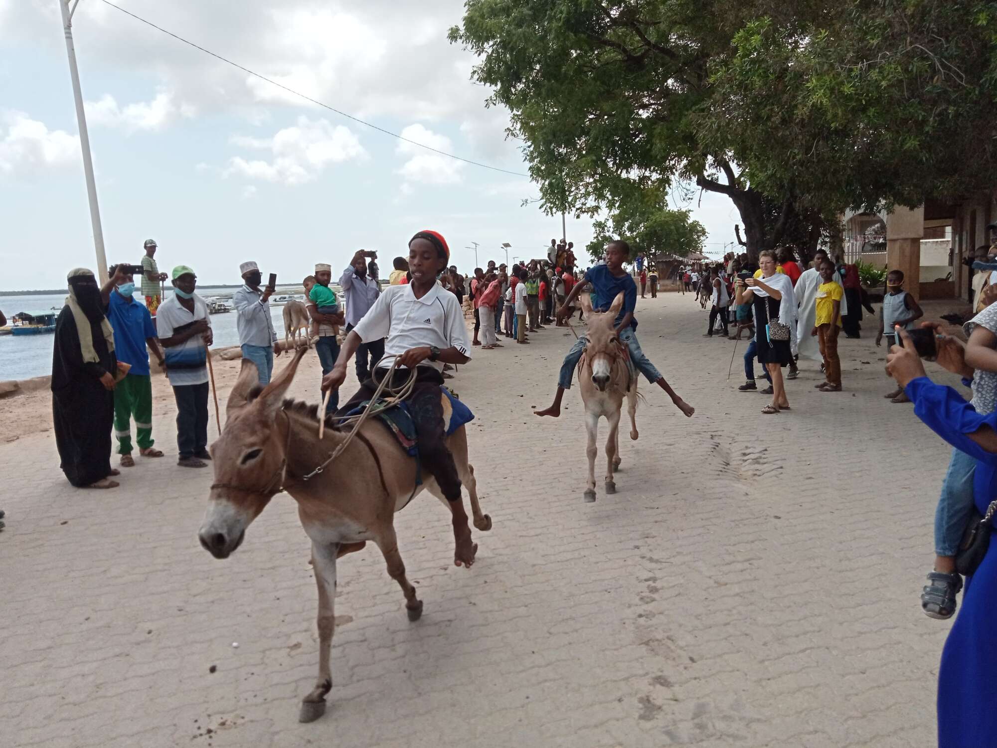 Kenya eyes Muslim visitors with Lamu's Maulid Festival - Business Daily