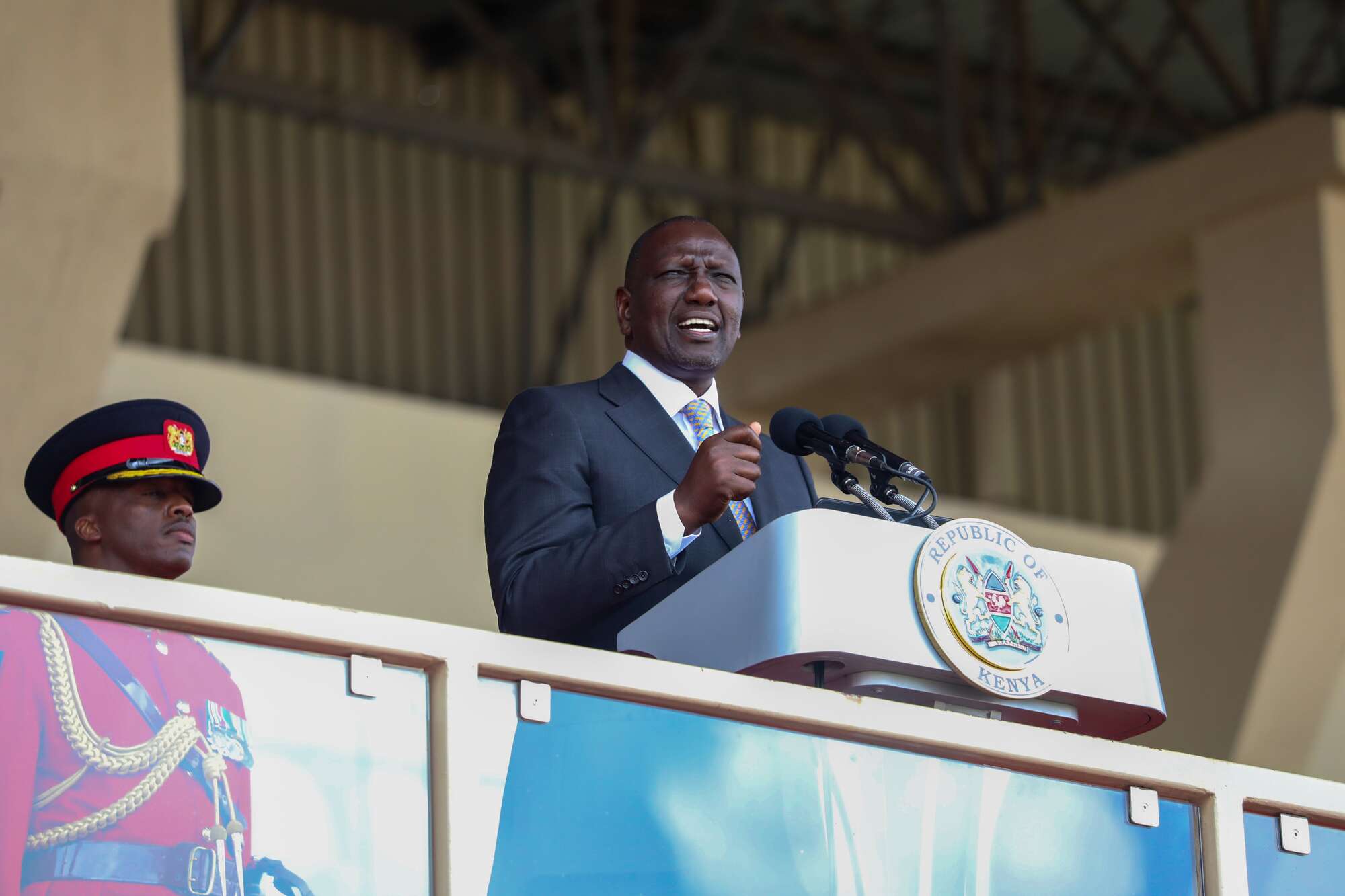 Ruto eyes 28 per cent forest cover in seven years - Business Daily