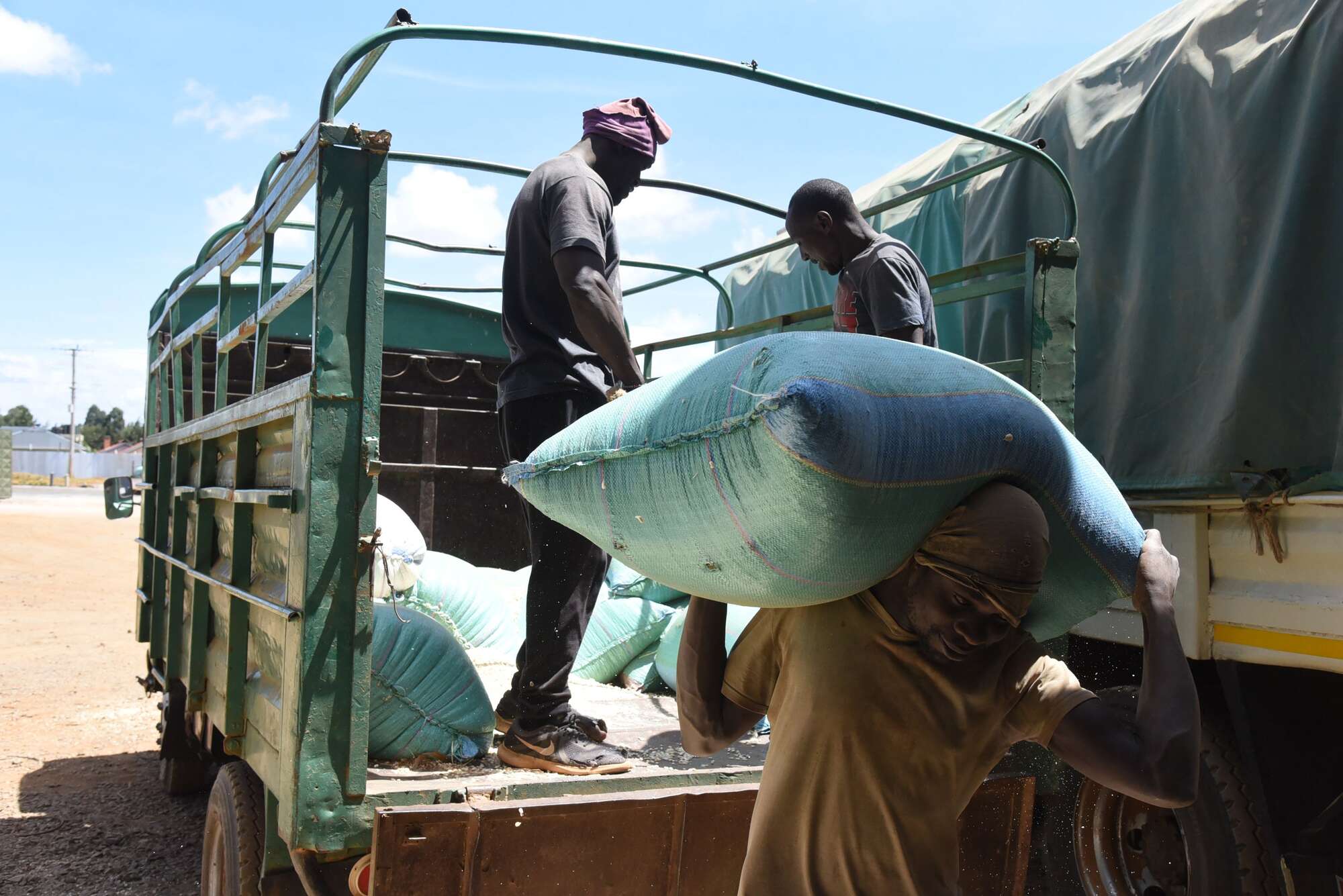 Innovators step up the fight against food insecurity - Business Daily