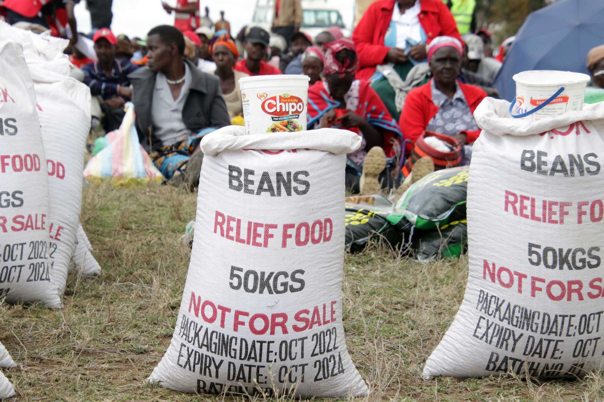 Unleashing NGOs’ full potential - Business Daily