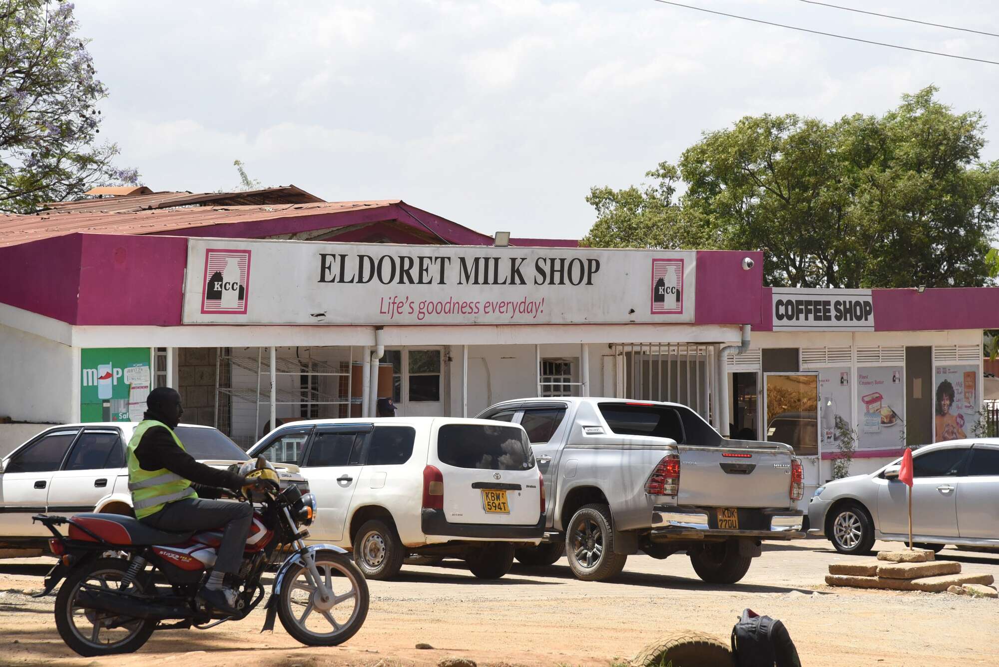 New KCC asks for Sh3bn for milk powder reserve fund - Business Daily