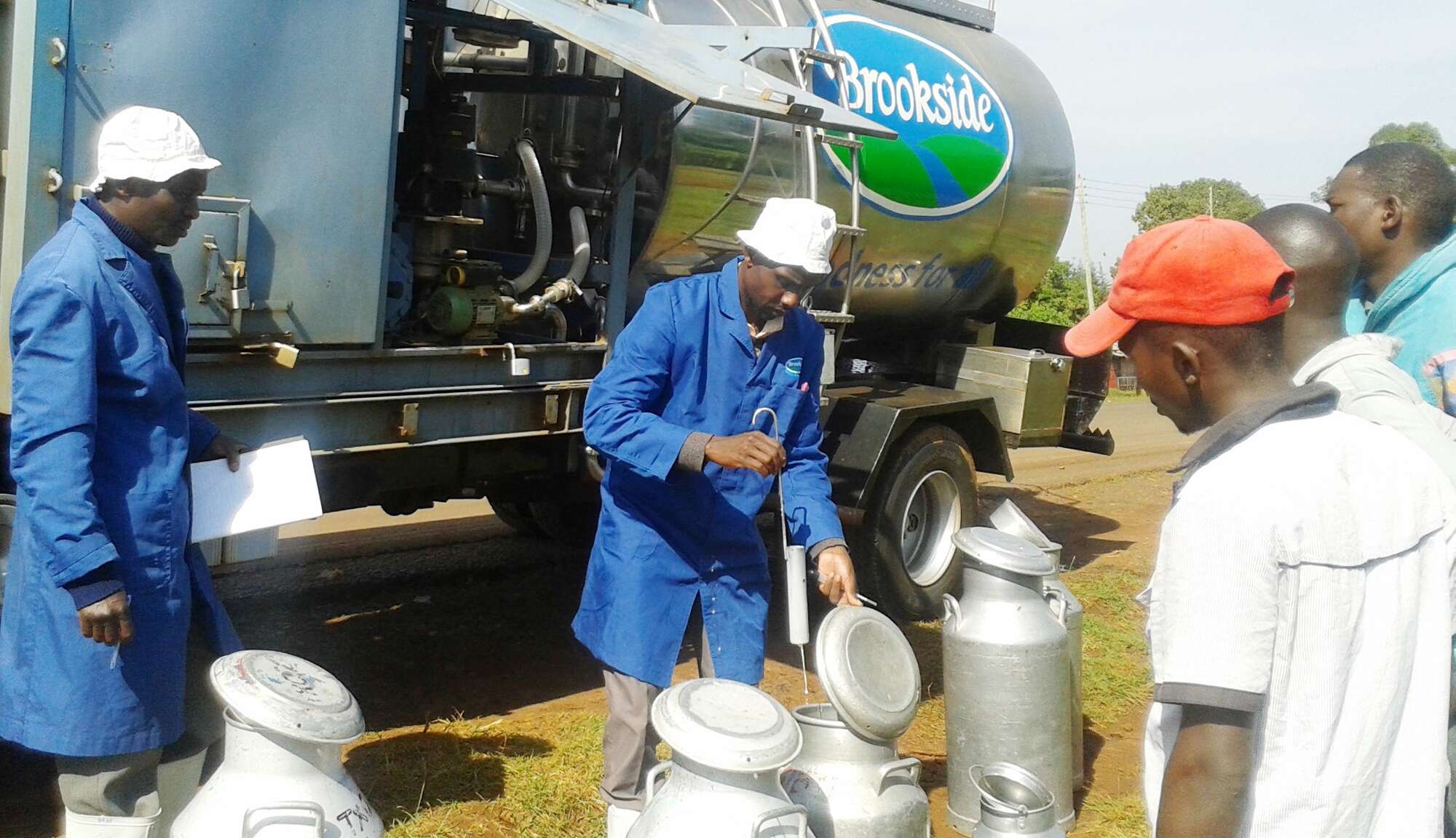 Brookside ventures into plant-based milk - Business Daily