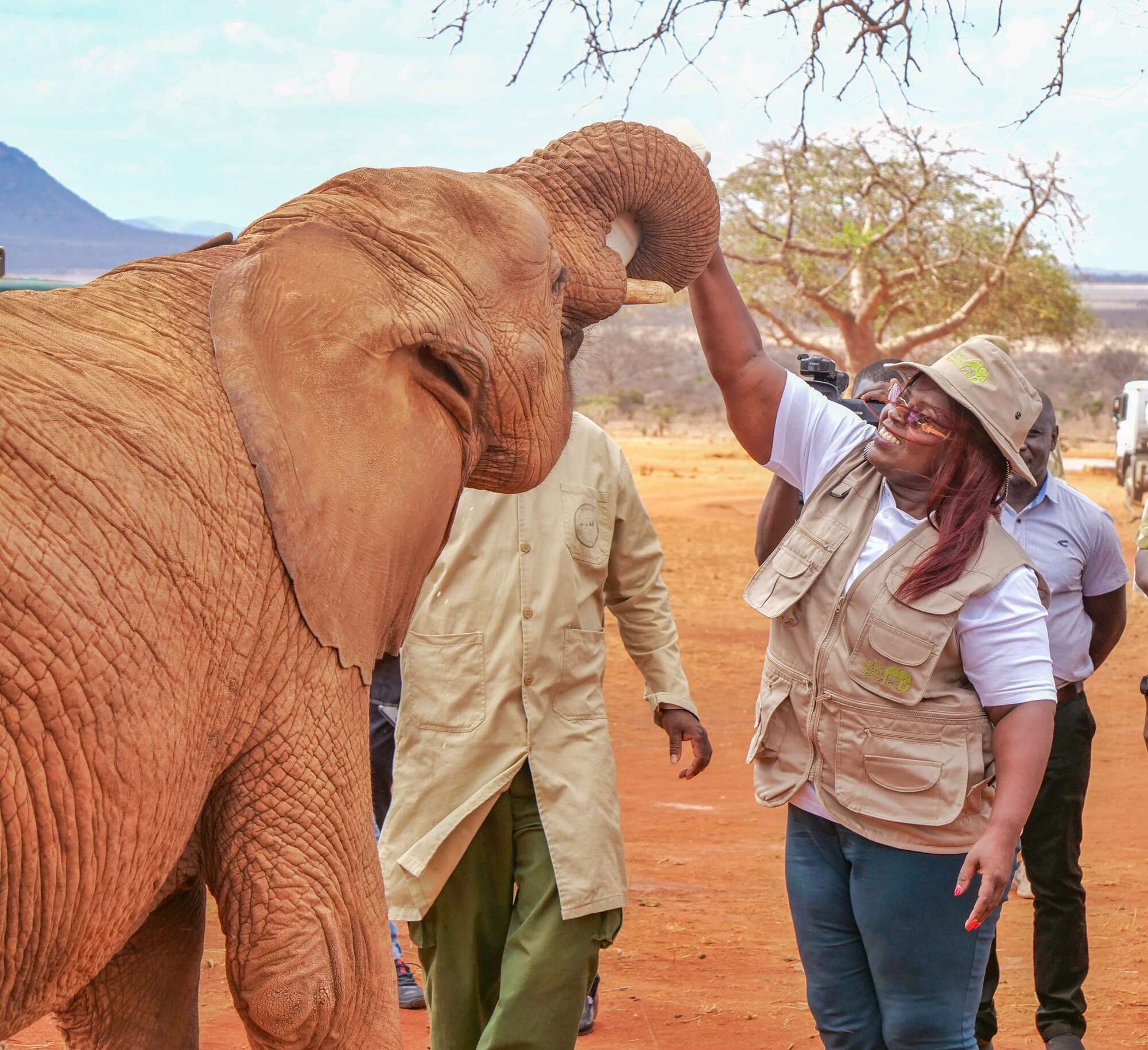 Peninah Malonza on surviving snakes and naysayers - Business Daily