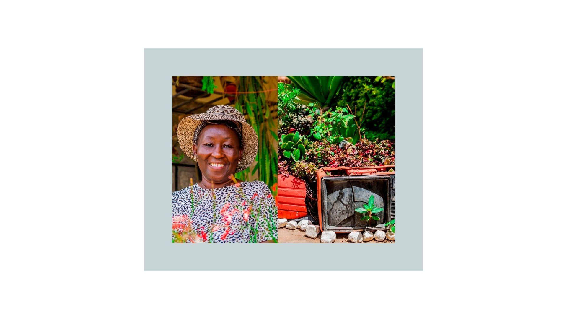 Rose creates an oasis in arid Athi River - Business Daily