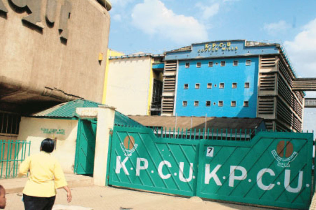 Coffee firm owes farmers Sh150m - Business Daily