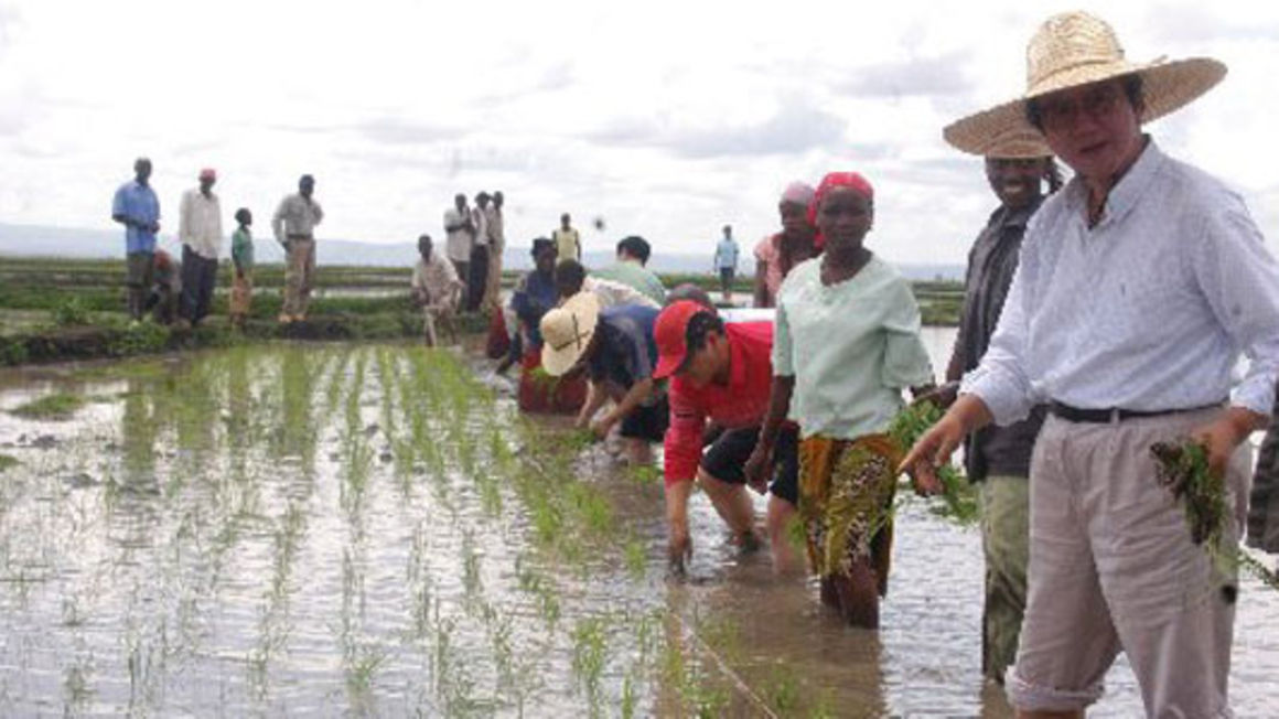 Irrigation board plans revolving fund to boost rice farming - Business ...