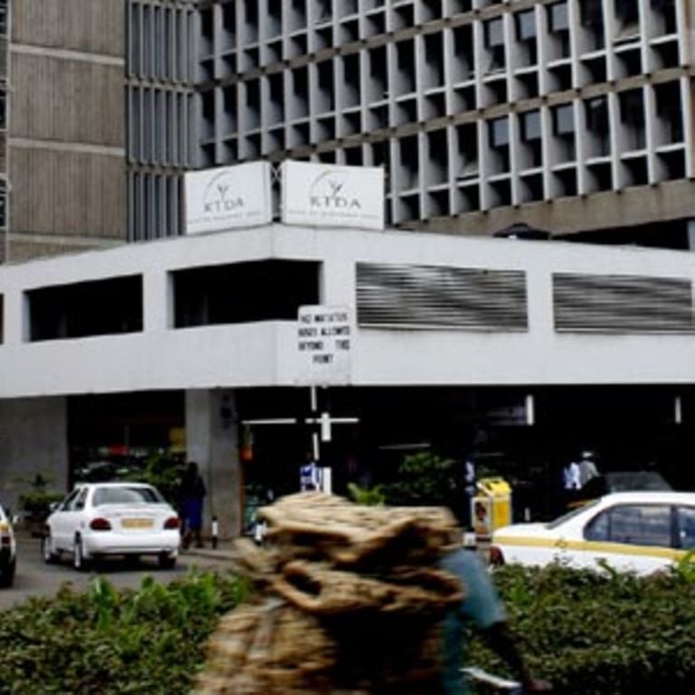 KTDA losing tea delivery to private firms - Business Daily