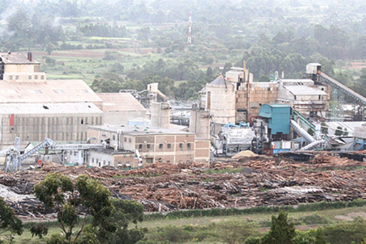 Cabinet approves Webuye Paper Mills revival plan - Business Daily