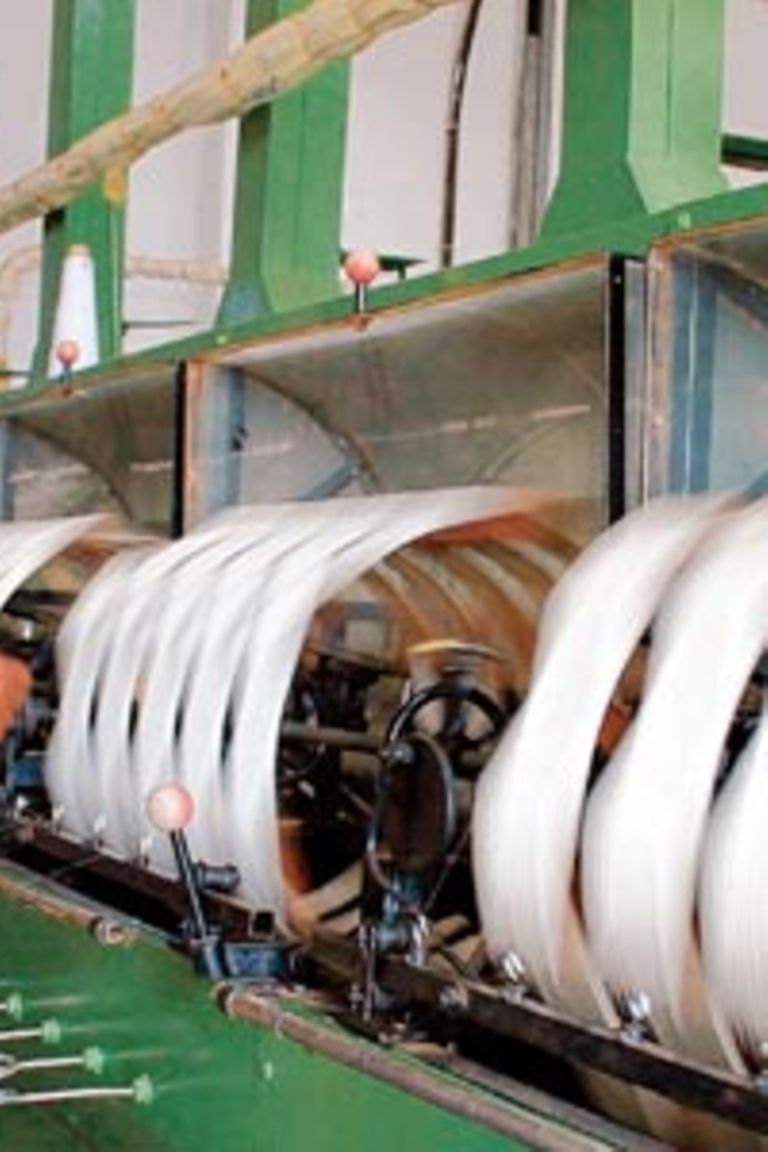 Silkworm farming turns into a money-spinner - Business Daily