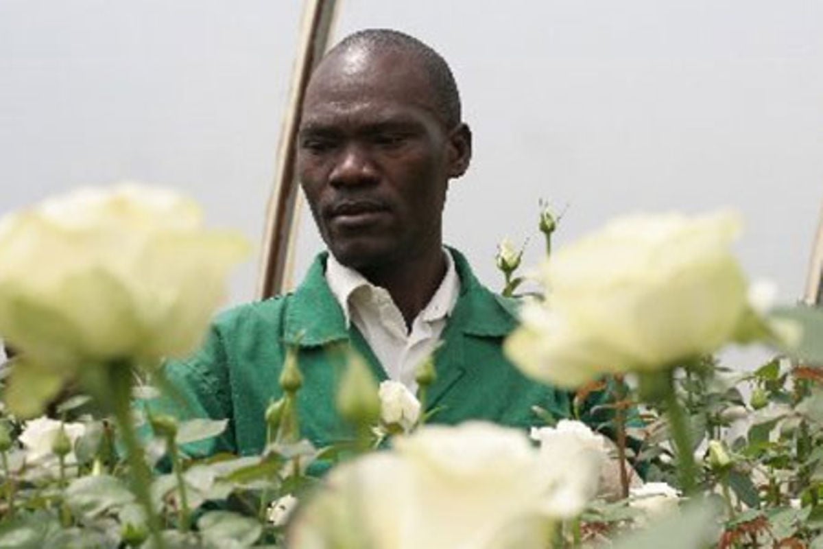 Flower firms oppose Bill to boost wages - Business Daily