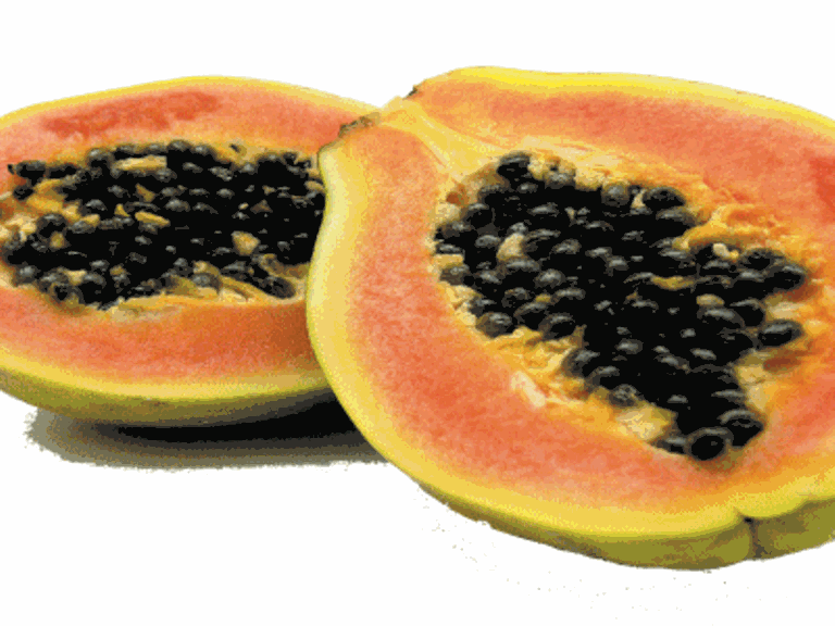 Rift Valley farmers make a beeline for new fast maturing papaya breed ...