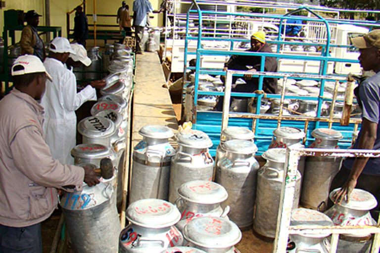 Milk crisis to get worse as New KCC exhausts its stock - Business Daily