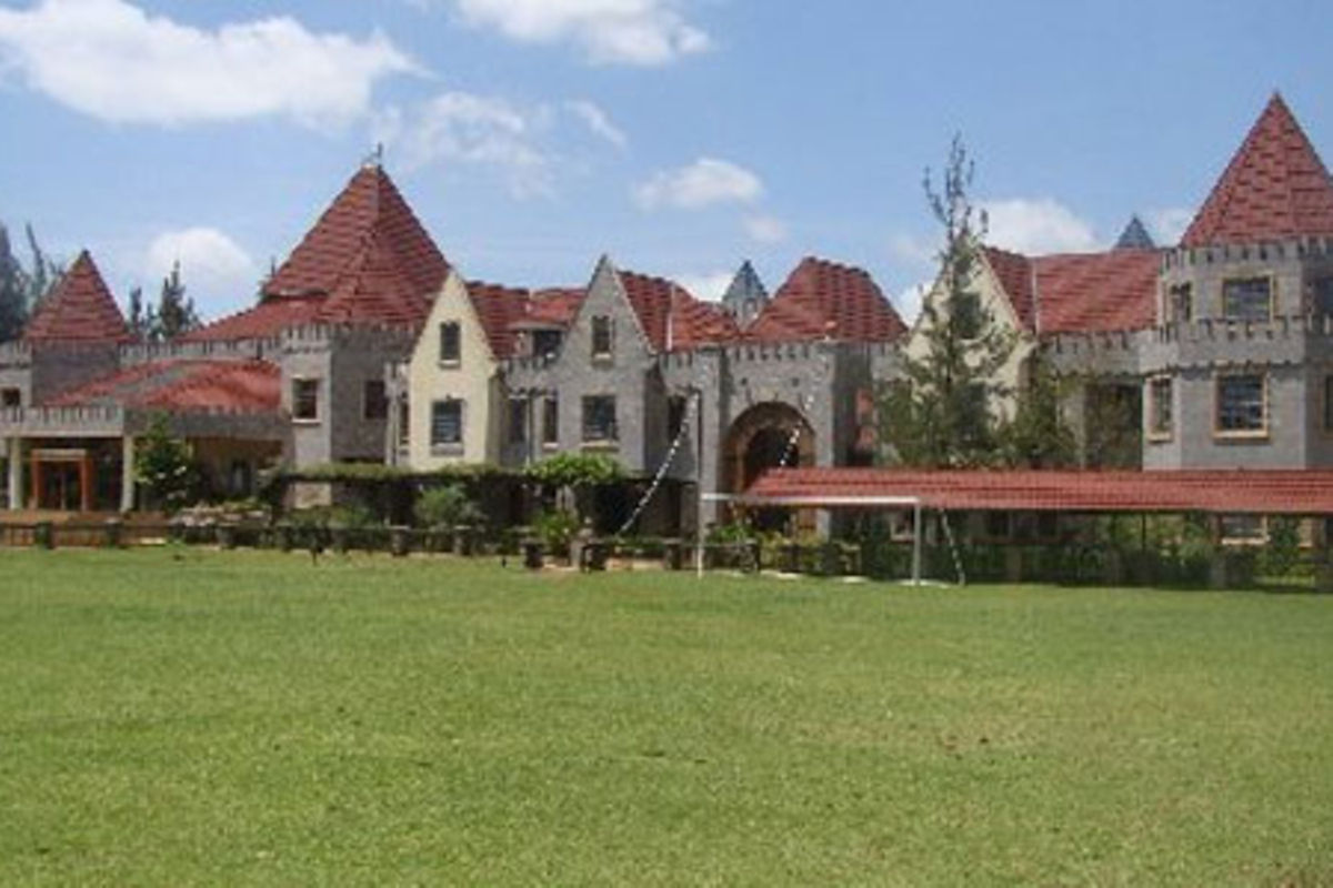 Dreams that gave Kenya its castles - Business Daily