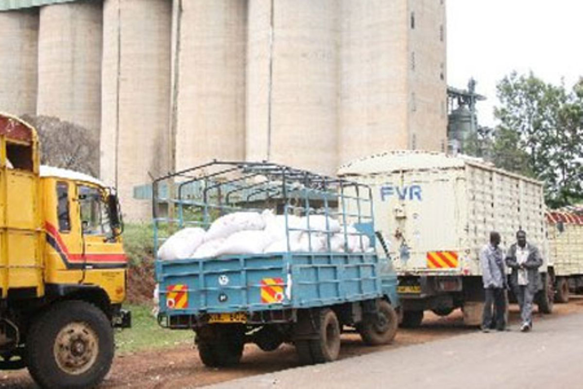NCPB starts drive to cut grain losses - Business Daily