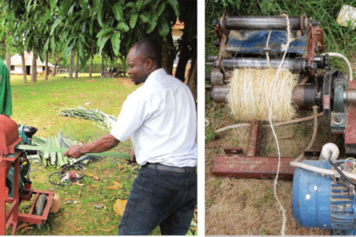 Farmer harnesses tidy profit from sisal machines - Business Daily