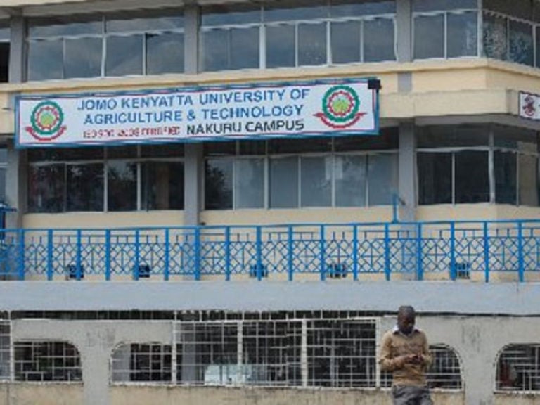JKUAT beats local rivals in ranking of African varsities - Business Daily
