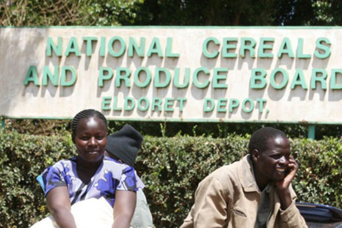 Farmers now face losses in NCPB debt asset sales - Business Daily