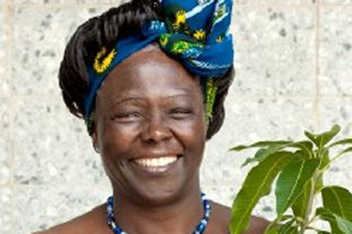 ‘Taking Root’ reveals refreshing radicalism of Wangari Maathai ...