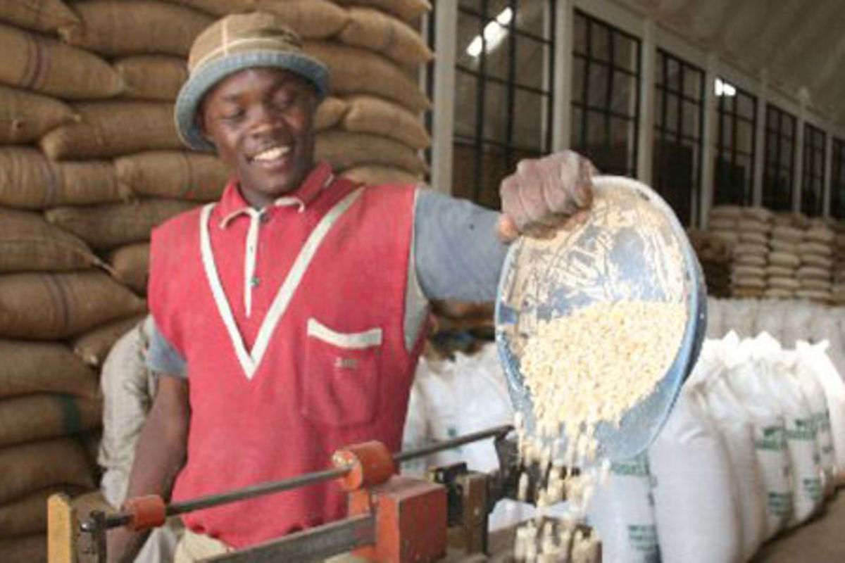 NCPB ignored Treasury advice, says former boss - Business Daily