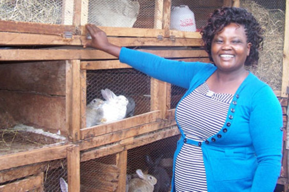 Rabbit keeper makes fast cash from her dream job - Business Daily