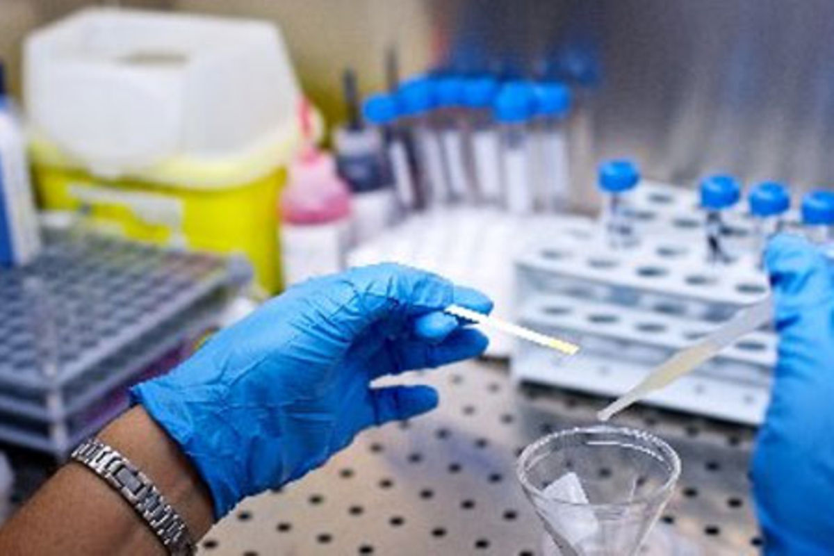 ILRI seeks lasting solution for the tsetse fly menace - Business Daily