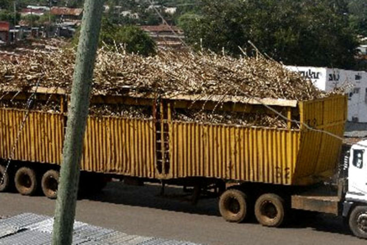 Low milling capacity, poor yields deepen sugar industry woes - Business ...