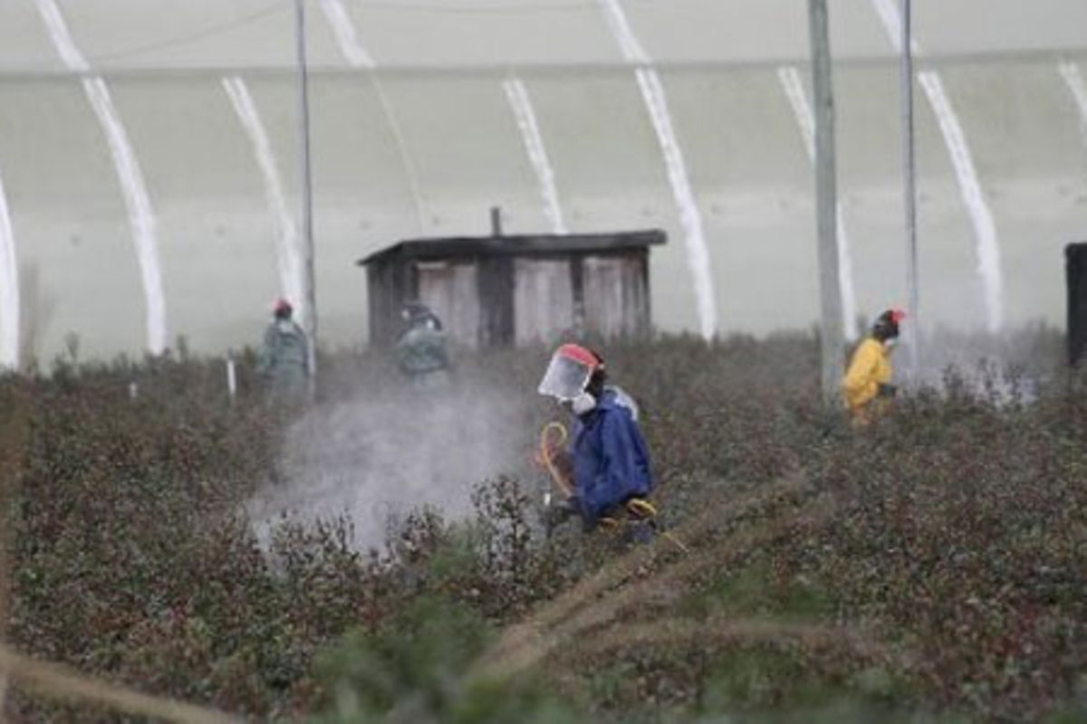 CfC says India bank aware of Karuturi’s receivership - Business Daily