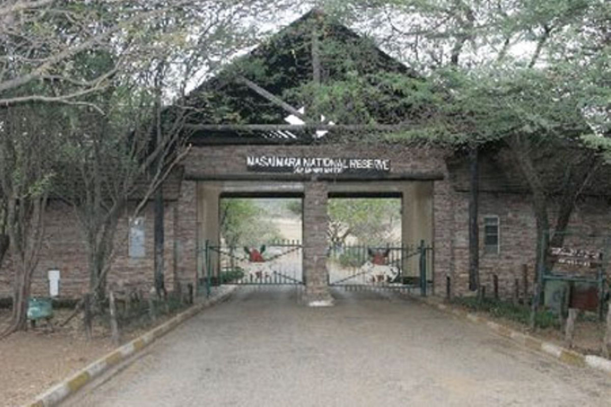 Ntimama in court over Mara ticket deal - Business Daily