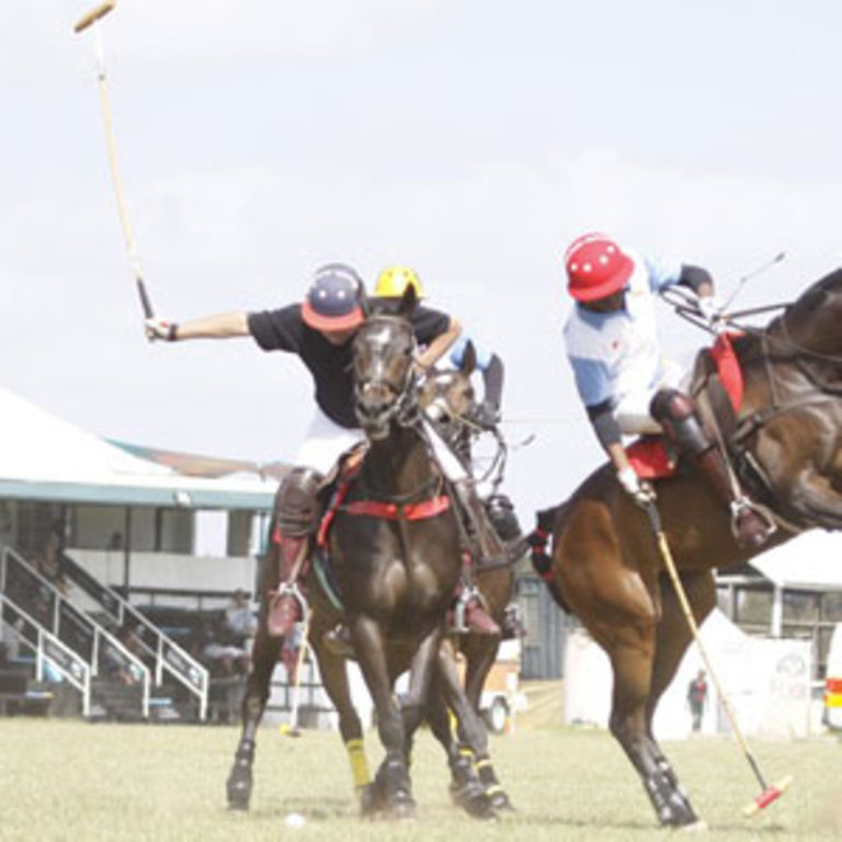 Meet the polo playing families of Kenya - Business Daily
