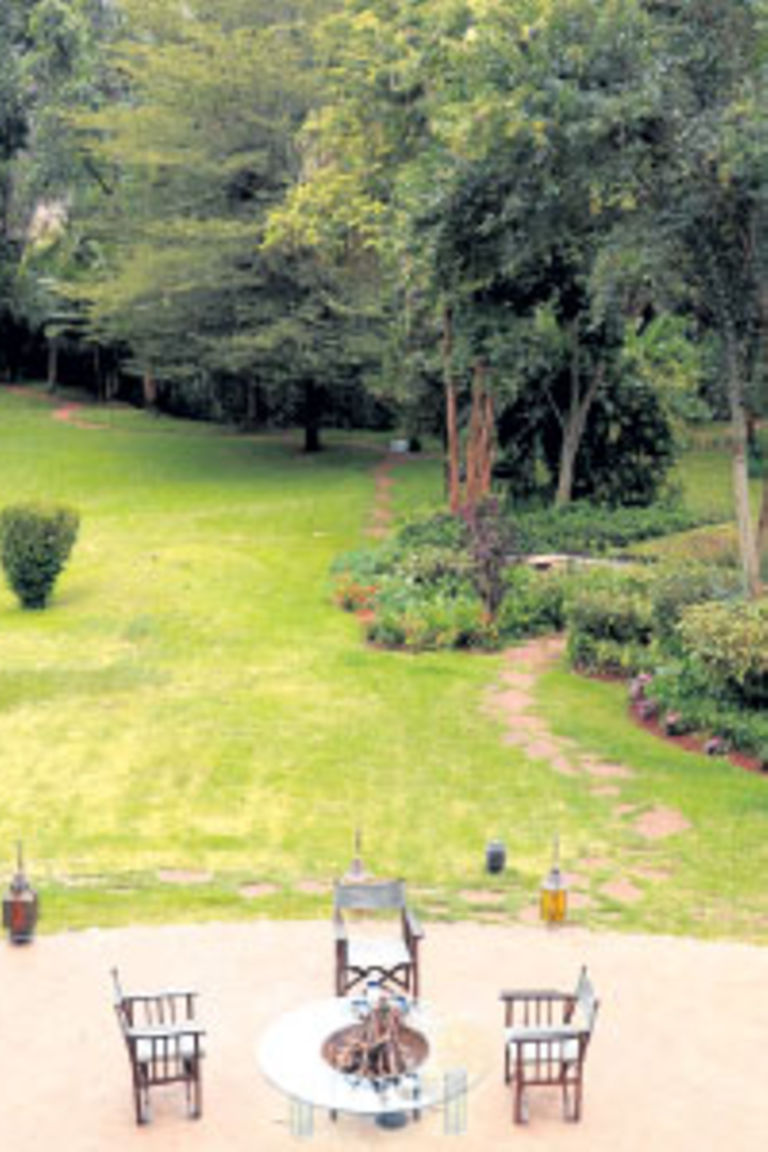 How to choose the best grass for your compound - Business Daily